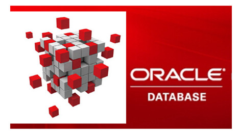Oracle数据库系统应用开发实用教程（第2版）